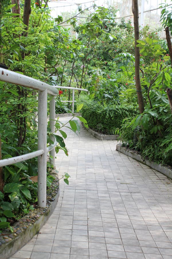 Tile pathway stock photo. Image of railing, style, garden - 42291536