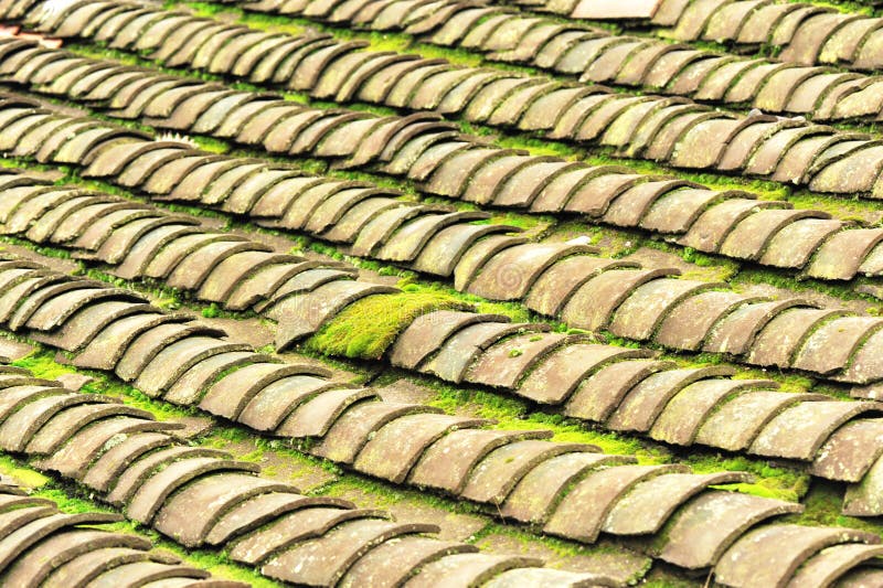 Tile roof with moss stock image. Image of rows, roofline - 23932075