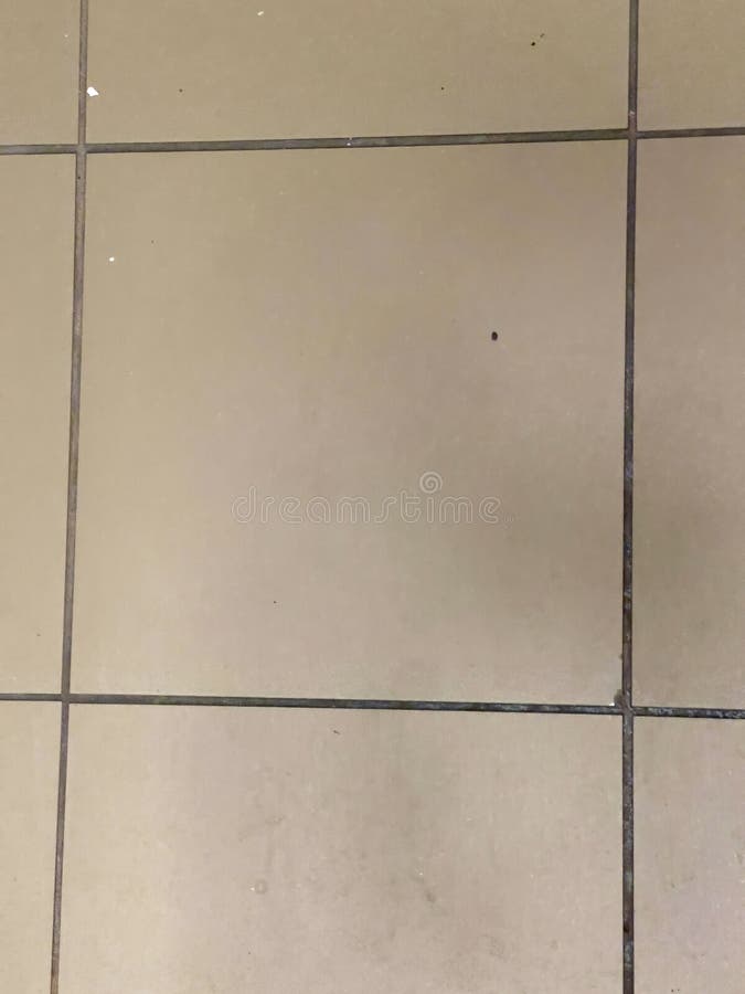 Tile Squares of the Floor of an Elevator Cab Stock Image - Image of ...