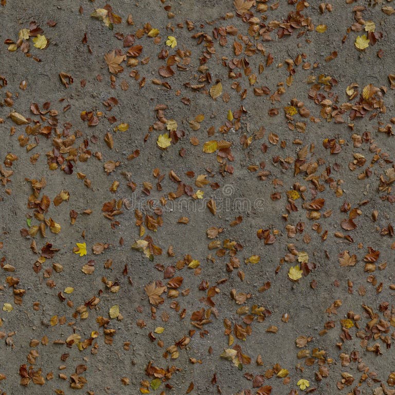 Tileable Sand Texture stock image. Image of grey, leaves - 22713233