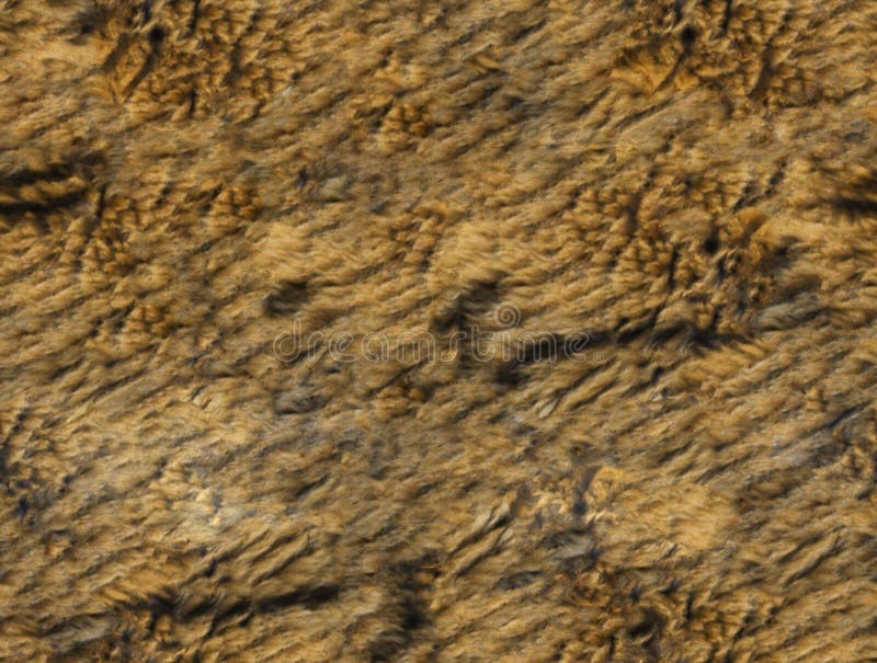Tileable Tiger Fur Texture stock photo. Image of tileable - 43264180