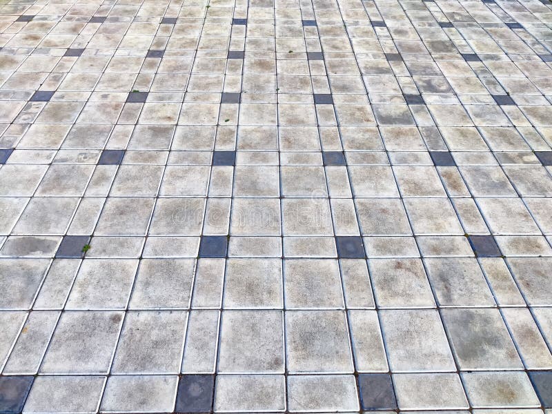 The Tiled Floor Showcases a Unique Pattern, Providing an Ideal Surface ...