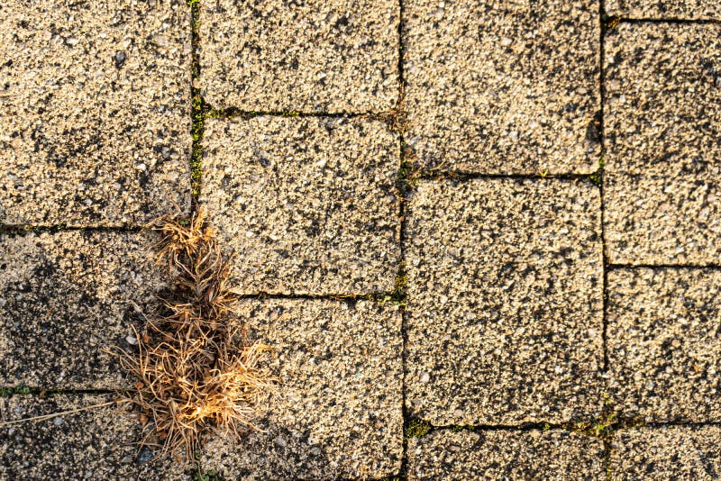 Tiled Footpath Road Close Up Version Stock Photo - Image of abstract ...