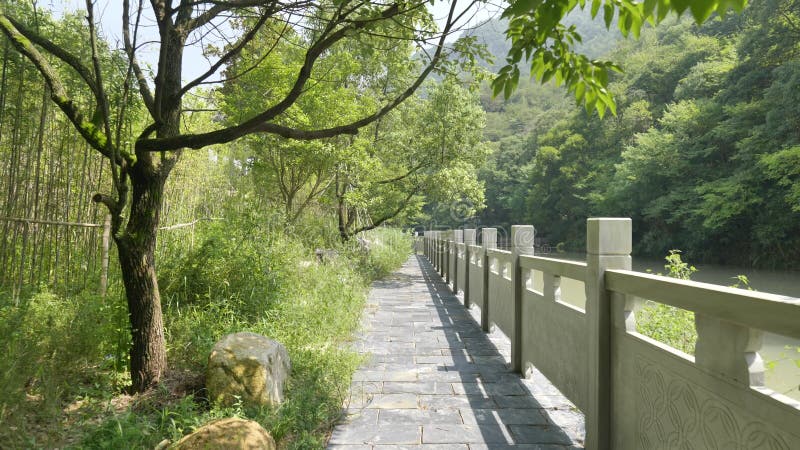 Tiled Path Alongside a Waterway Surrounded by Green Vegetation in the ...