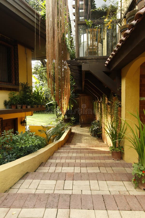 Tiled Pathway with Vines and Plants, Rustic Yellow House, Setting Sun ...
