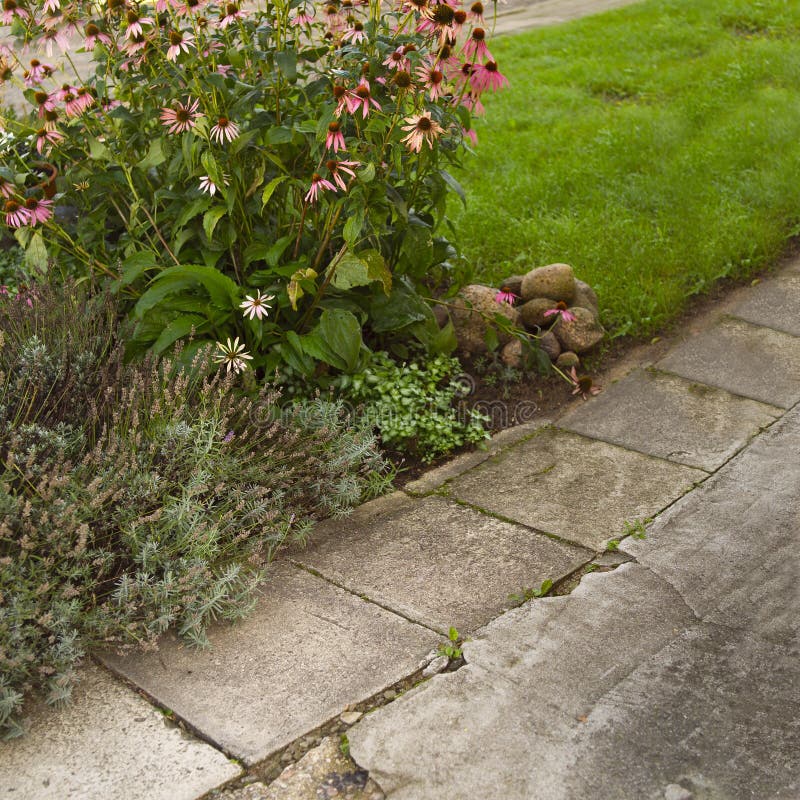Tiled Pavement Decorated with Flowers Stock Image - Image of pavement ...