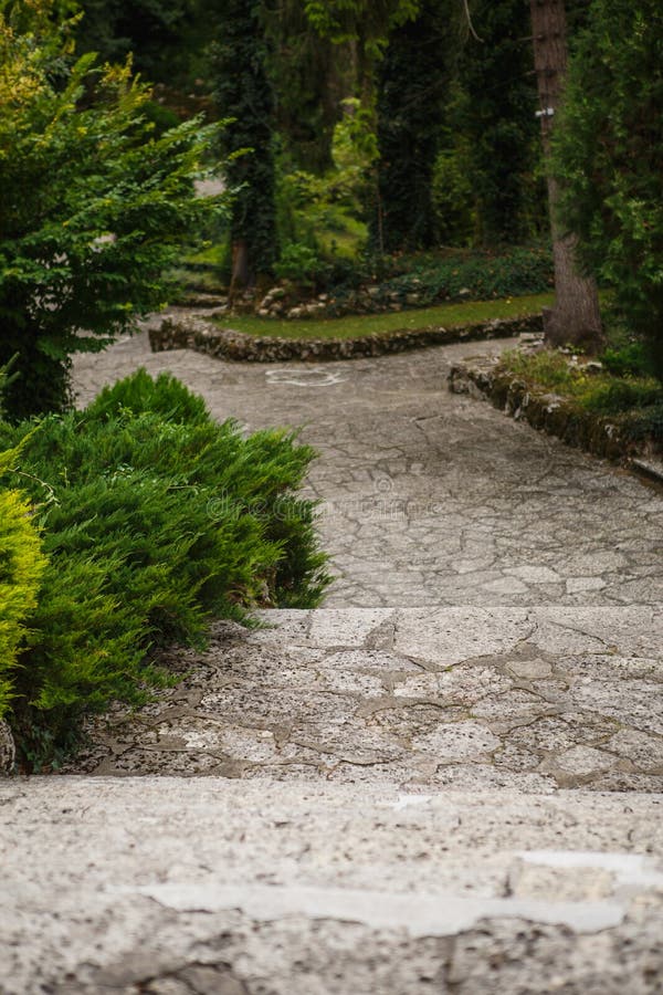 Tiled road in the Park. stock image. Image of landscape - 171427529