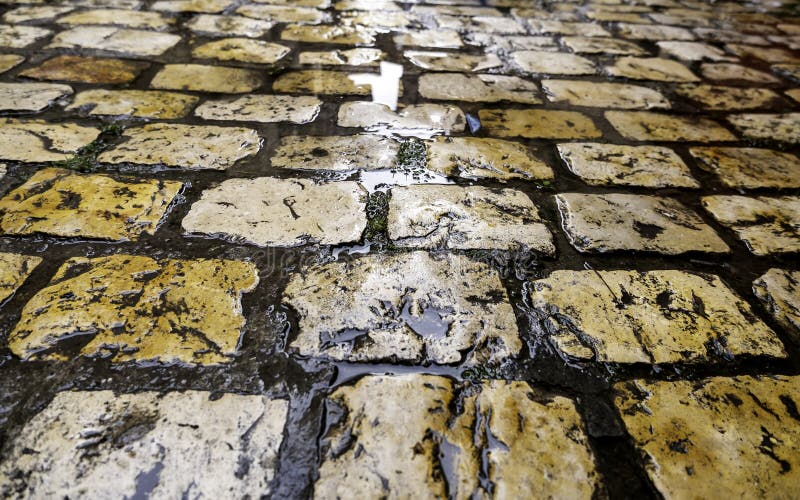 Tiled wet floor stock photo. Image of room, pathway - 281026138