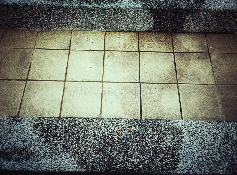 Tiles and Cement Ground Pattern. Stock Photo - Image of cement, gulls ...