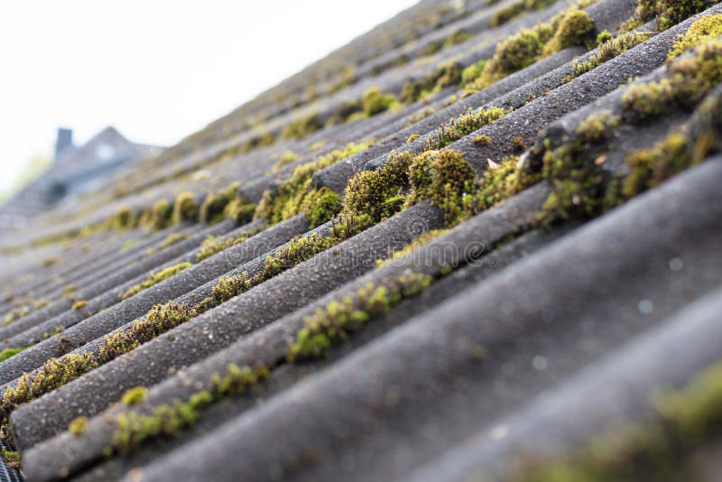 Tiles covered with moss stock image. Image of home, architecture ...