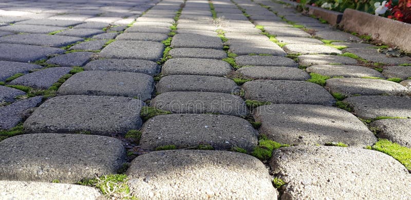Paving Slabs With A Grass Cobblestone Striped Pathway Detail Of Ancient Road Surface Grey