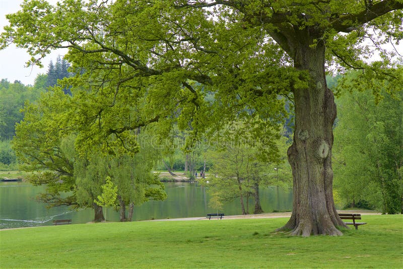 Tilgate Park, West Sussex, England Stock Image - Image of recreation ...