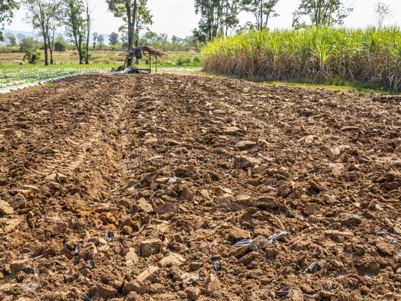 Tillage cultivation stock photo. Image of pattern, landscape - 66231246