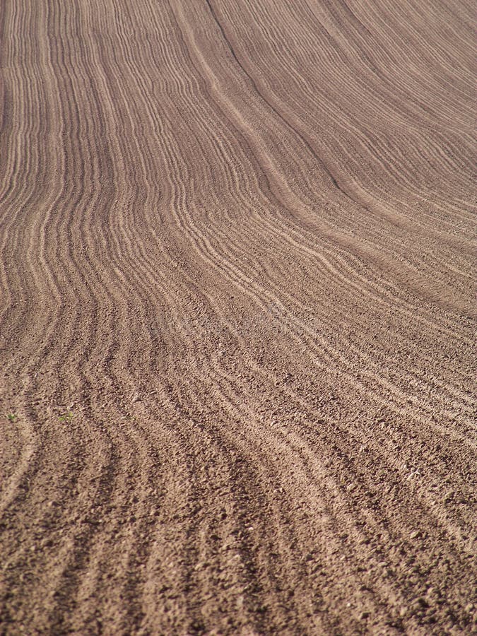 Tillage pattern stock image. Image of pattern, form, crop - 22805487