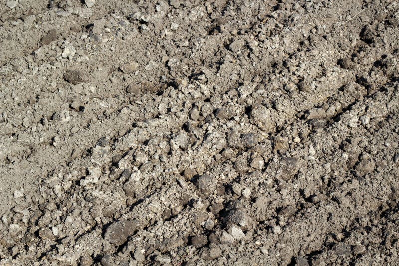 845 Tilled Earth Stock Photos - Free & Royalty-Free Stock Photos from ...