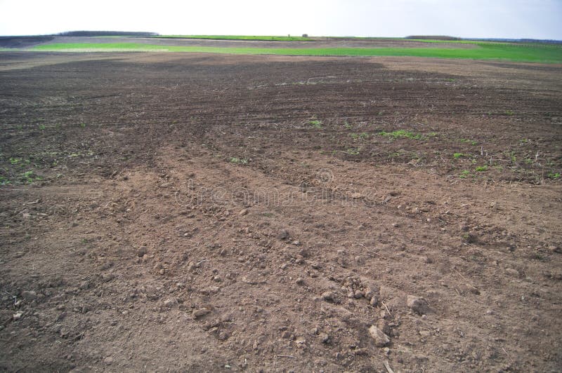 Tilled Field stock image. Image of agriculture, tilled - 4813919