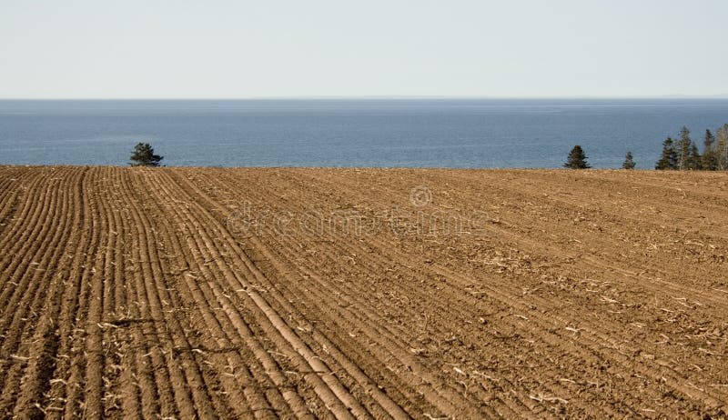Tilled field by the ocean stock photo. Image of countryside - 14741952