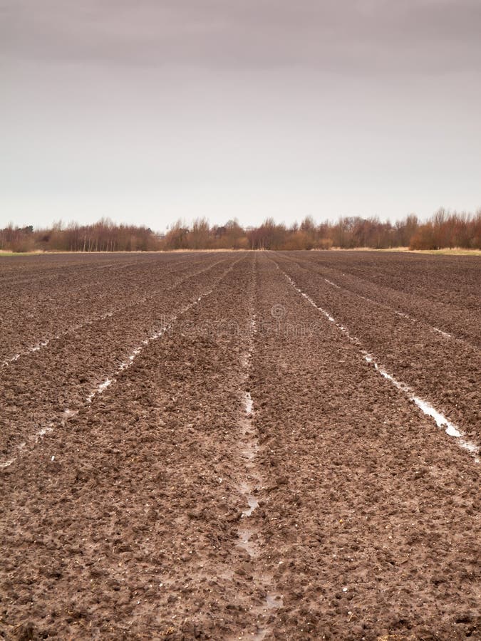 Tilled Field in Winter stock image. Image of lines, pines - 11883839