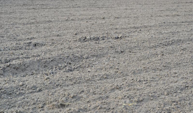 Tilled soil stock photo. Image of farm, countryside - 115537572