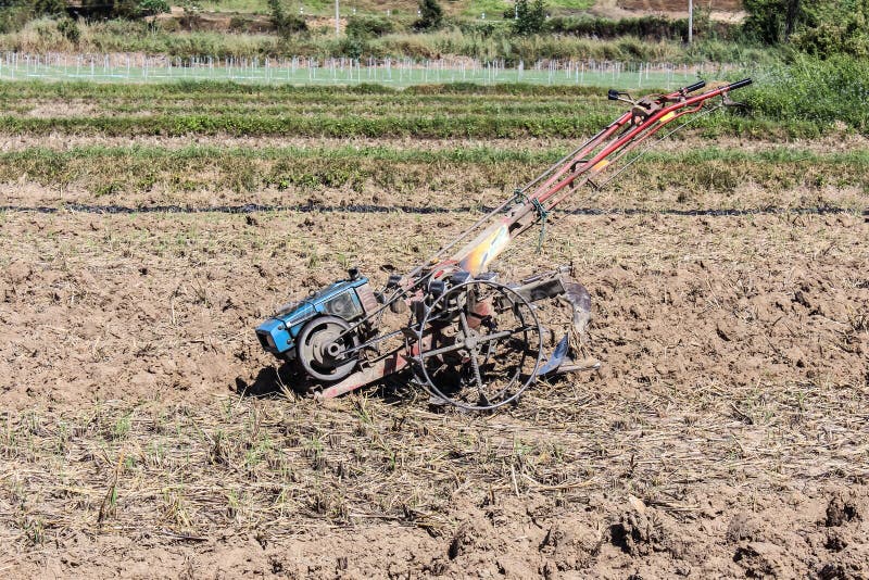 Tiller Tractor in Rice Field Stock Image - Image of small, cultivator ...