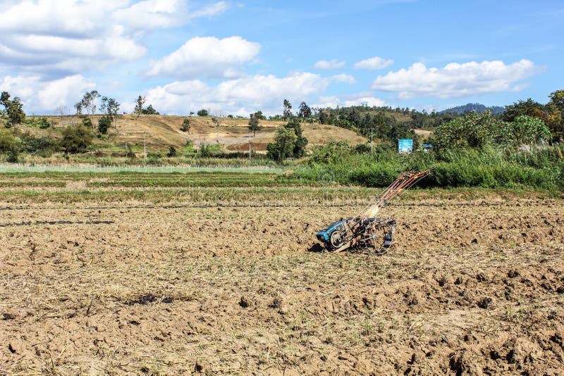 Tractor in Rice Field, Mechanism Farmer Rice Cultivation Stock Image ...