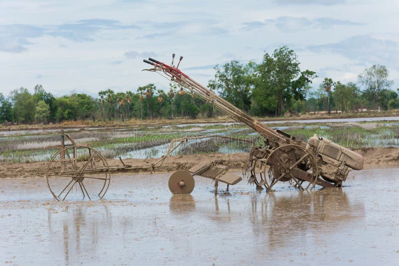 Mechanization Of Thai Farmer For Rice Cultivation Stock Photo - Image ...