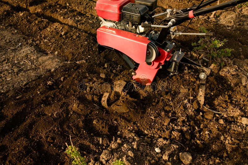 A Tillerblock Plows the Land in the Garden. a Tillerblock for Plowing ...