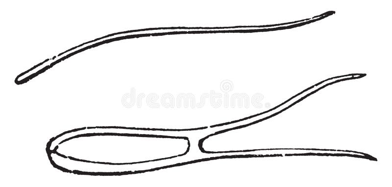 Secondary Spore Stock Illustrations – 6 Secondary Spore Stock ...