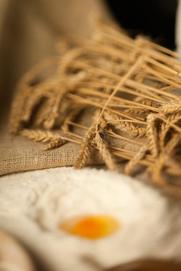 Tilt shift egg stock photo. Image of nutrition, preparation - 24395136