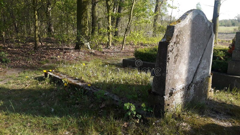 Tilted Graveston on a Forgotten Graveyard Stock Image - Image of garden ...