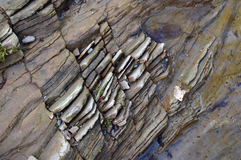 Tilted Rock Formations Along Riverbank with Exposed Sediment Layers and ...