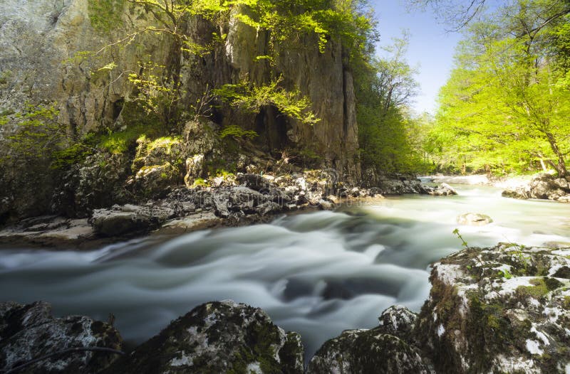 Timavo river resurgences stock photo. Image of century - 253559032