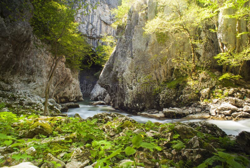 Timavo river resurgences stock photo. Image of century - 253559032