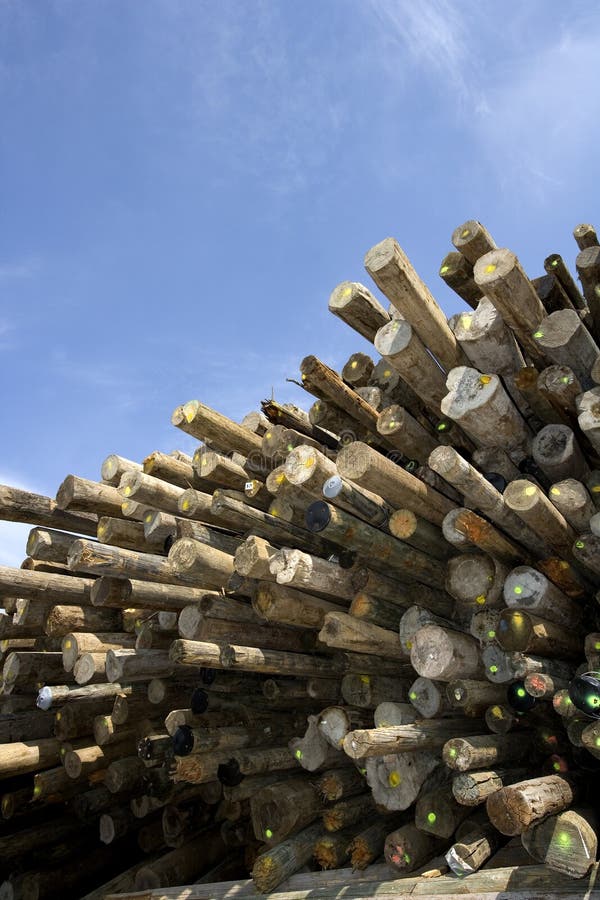 Timber stock image. Image of trunk, wood, lumber, timber - 25060047