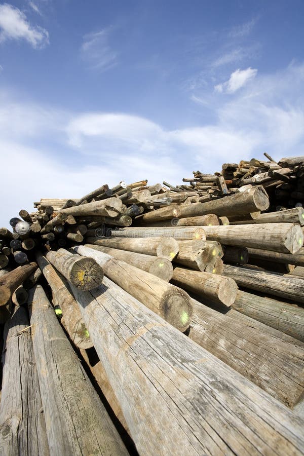 Timber stock image. Image of trunk, wood, lumber, timber - 25060047