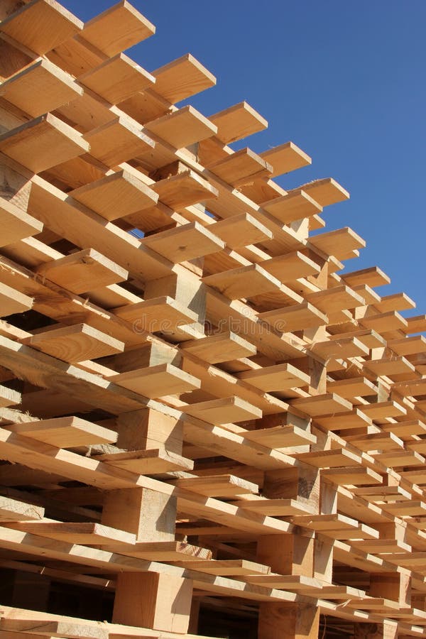 Sawn timber stock photo. Image of carpentry, lines, forest - 3750954