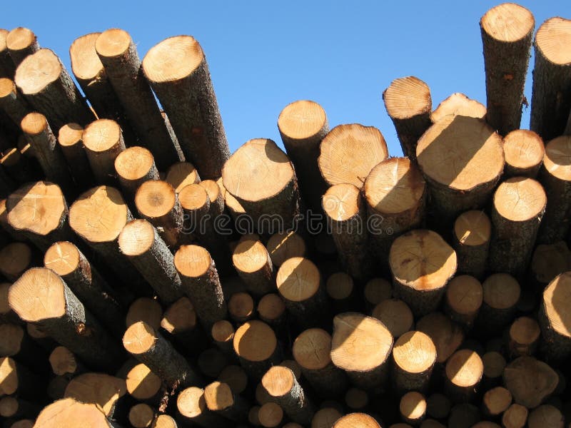 Timber stock image. Image of timber, material, industry - 2554933