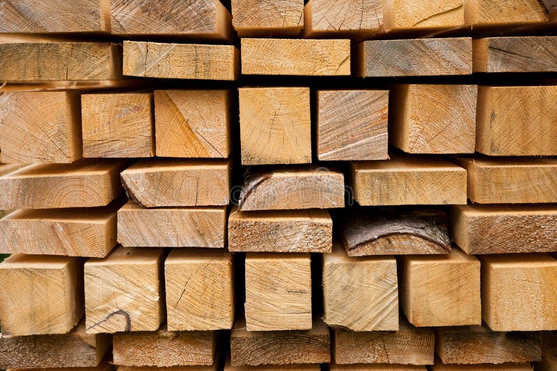 Timber stock image. Image of woodland, plant, lumber - 42985715