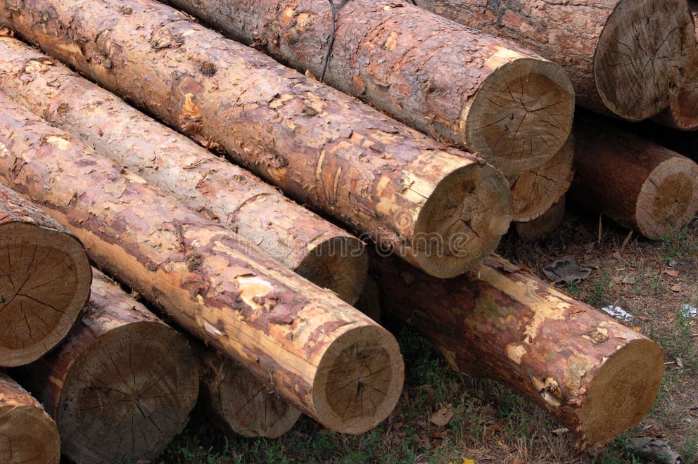 Timber stock image. Image of brown, construction, environmental - 5605937