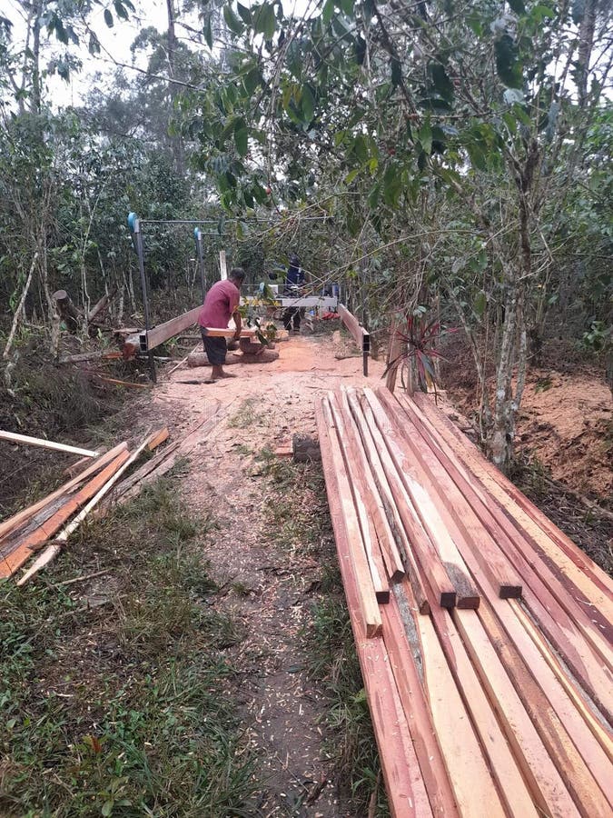 Timber Already Cut Using the Sawmill Stock Image - Image of timber ...