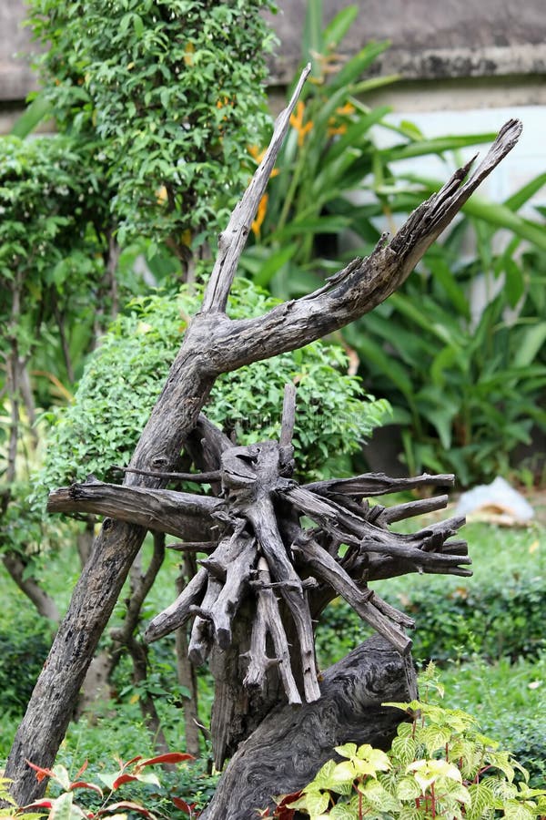 Timber stock image. Image of timber, garden, leaves, colorful - 88286471