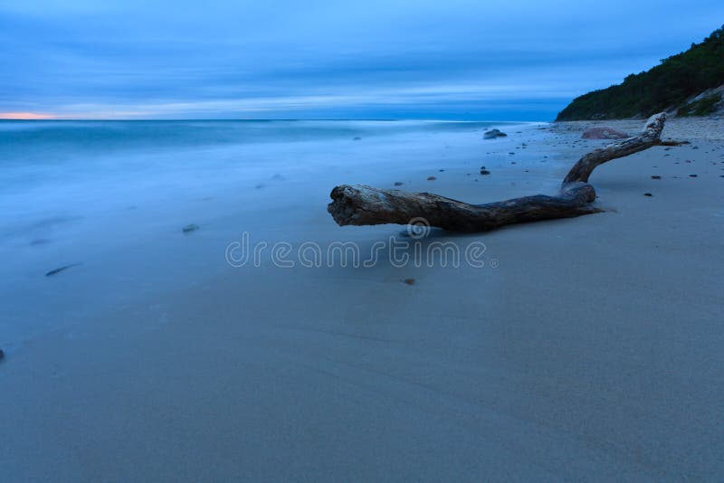 Timber on the beach stock photo. Image of wood, baltic - 15781310