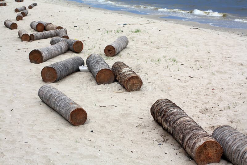 Timber on the beach stock image. Image of coastline, environment - 17455635