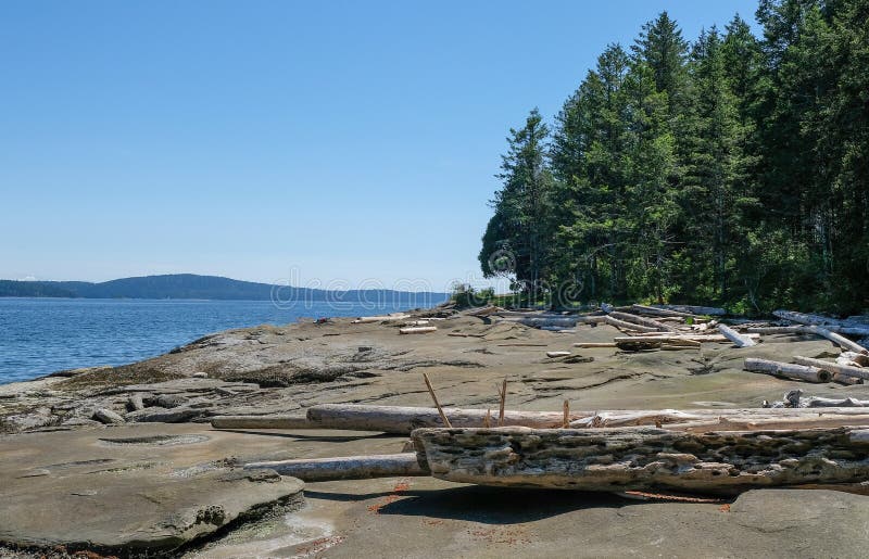 Timber Beach stock image. Image of landscapes, timber - 326150793