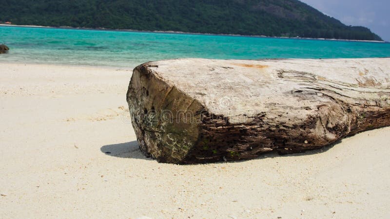 Timber on beach stock photo. Image of coast, horizon - 46325034