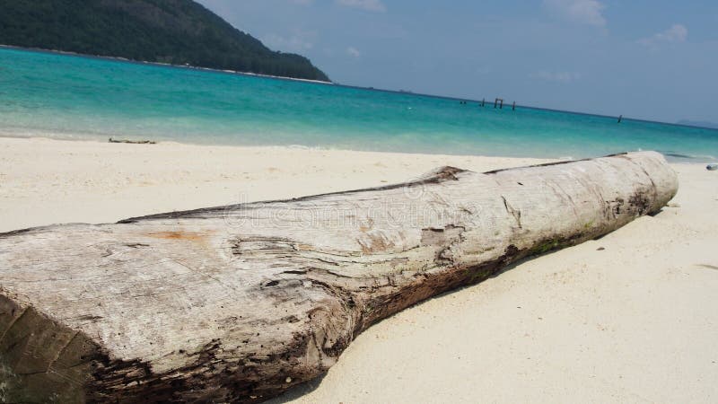 Timber on beach stock image. Image of dawn, nature, sand - 46325069
