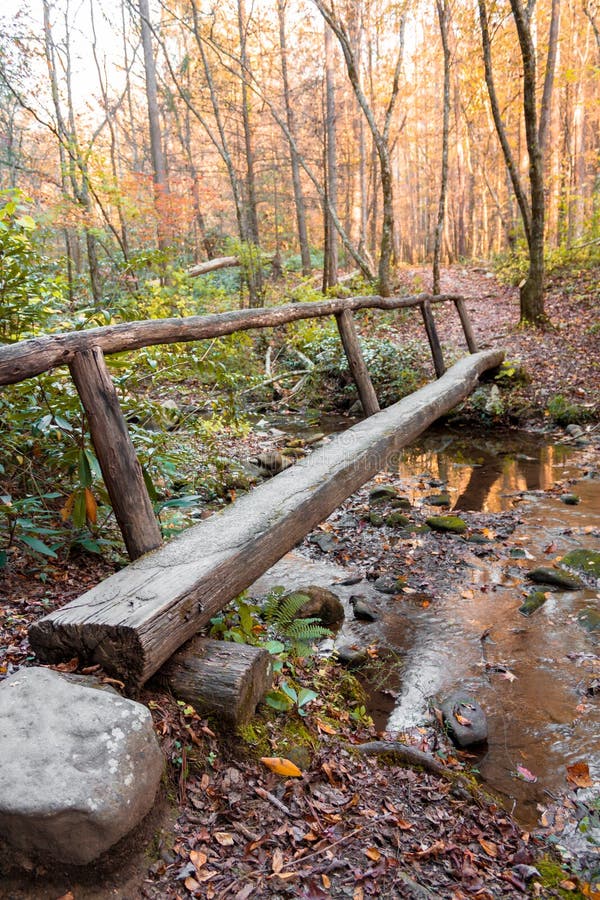 Timber bridge in the woods stock image. Image of foliage - 62659119