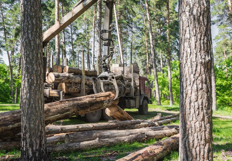 Timber carrier stock image. Image of manipulator, board - 182879817