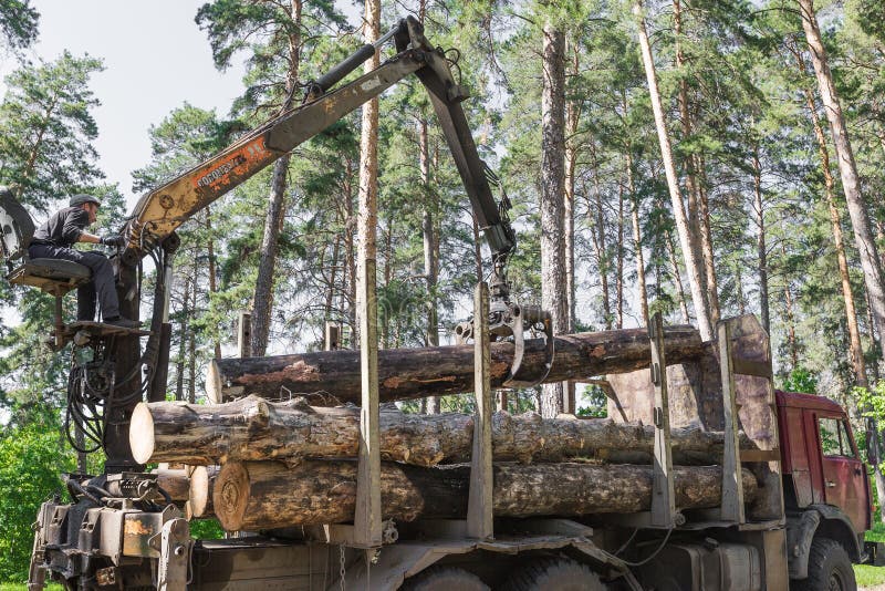 Timber carrier editorial stock photo. Image of forklift - 207289358