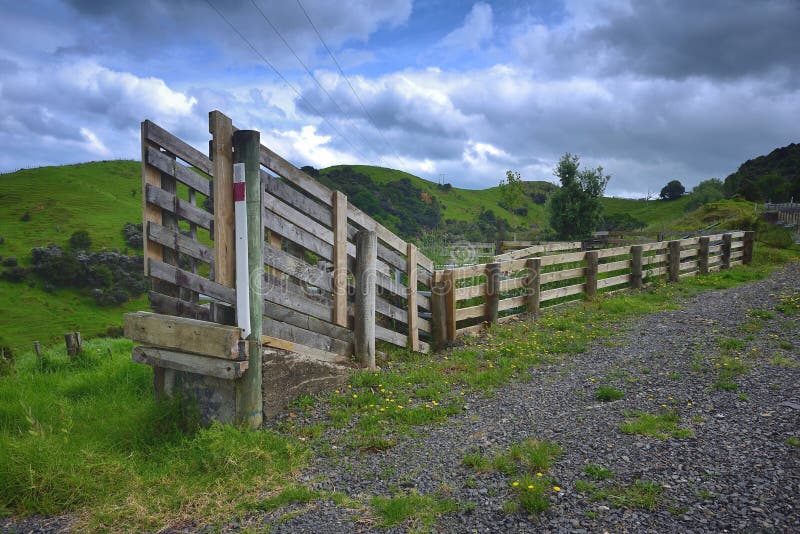 Timber Cattle Loading and Unloading Ramp Stock Image - Image of cattle ...